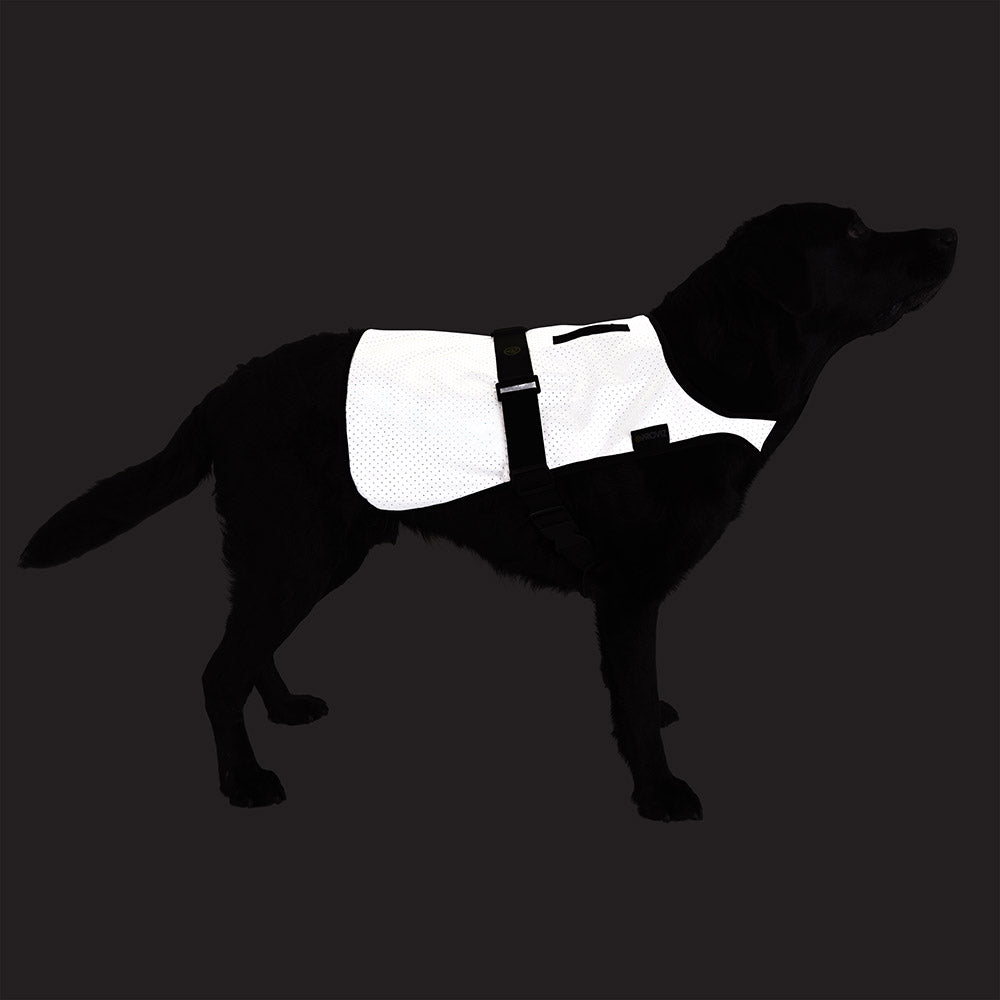Reflective Dog Coats | Hi Vis for Dogs | Proviz Sports