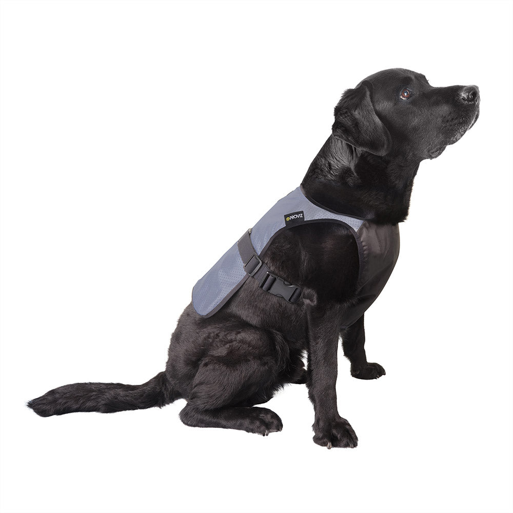 Reflective Dog Coats | Hi Vis for Dogs | Proviz Sports